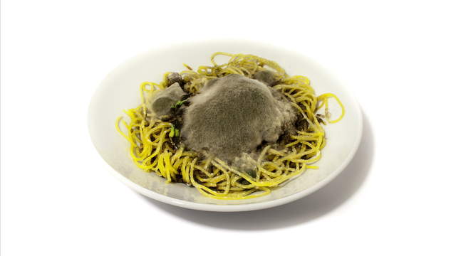 Zeitraffer-Video - Spaghetti Bolognese Schimmel-Zeitraffer | 1002 ...